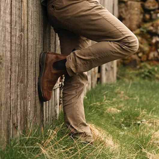 Home Page - Tony McDonnell